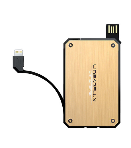 リチウムカード - LITHIUMCARD | LITHIUMCARD-Gold-Fの通販 | RESTIR リステア